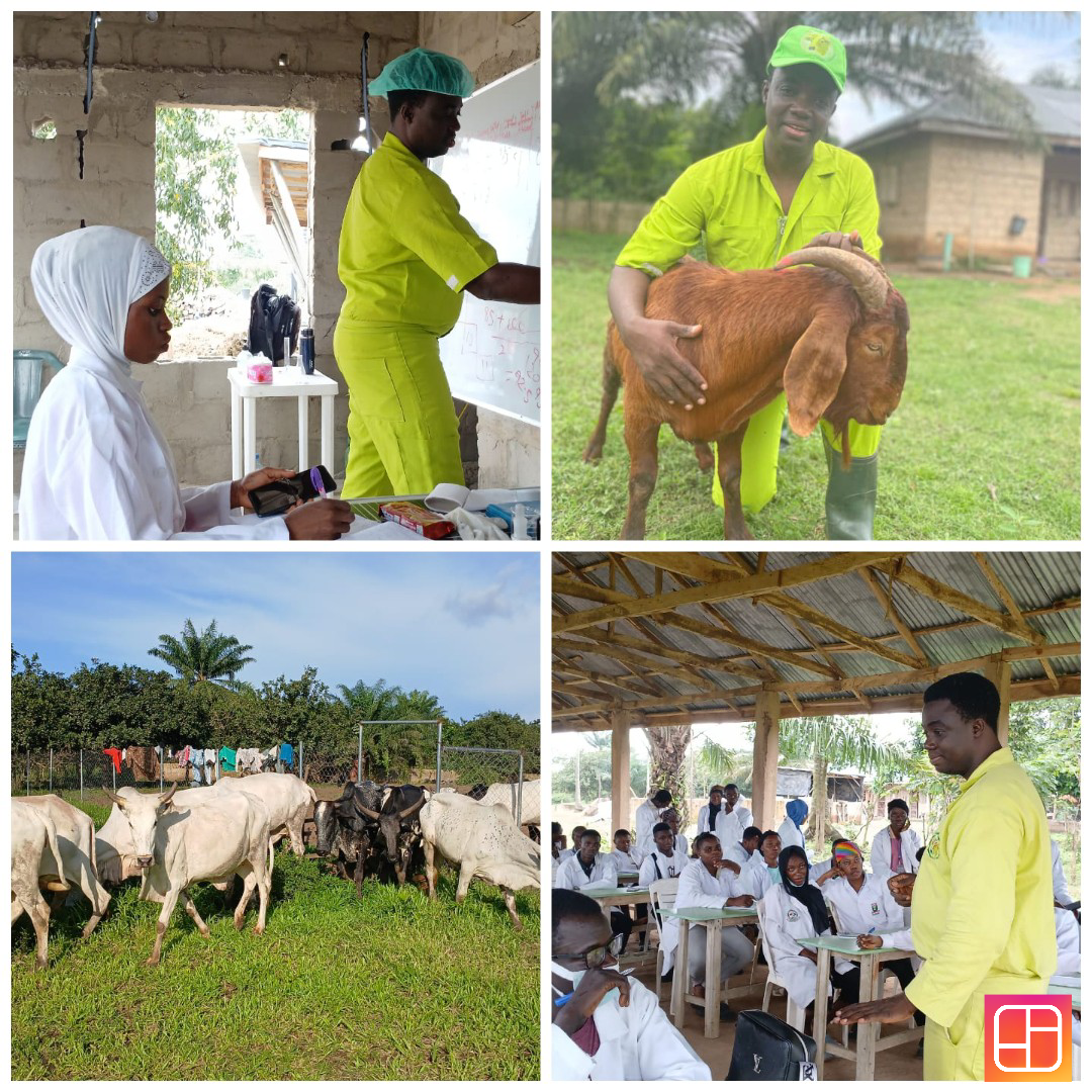 RPC Partners Traditional Institution To Empower Over 1,500 Youth, Women In Agricbusiness In Oke ...